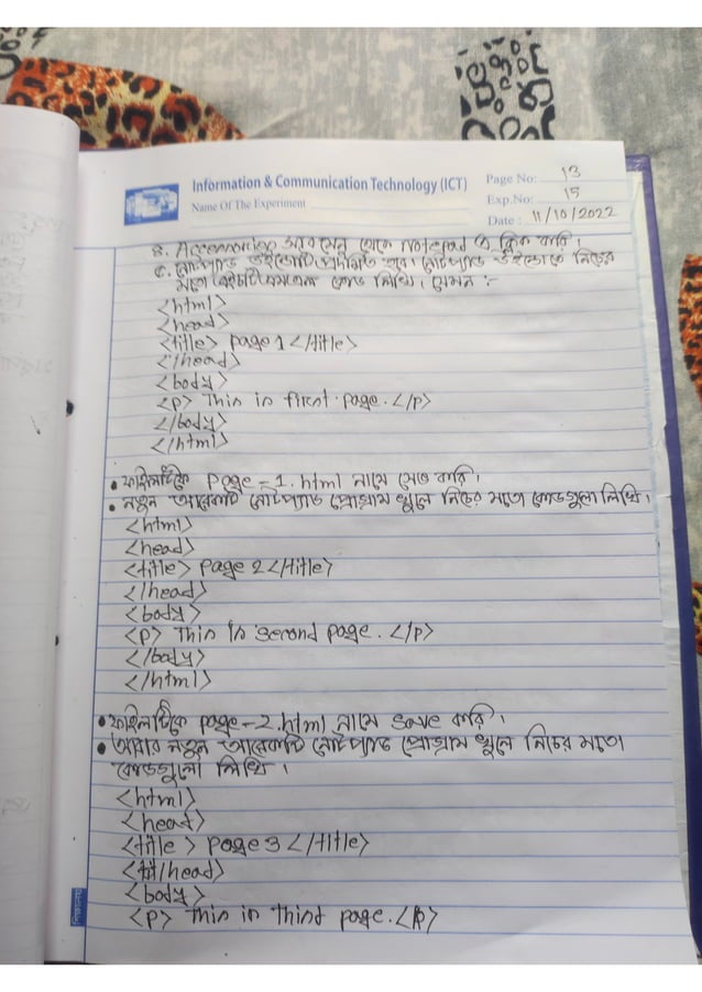 hsc ict practical 2024.pdf