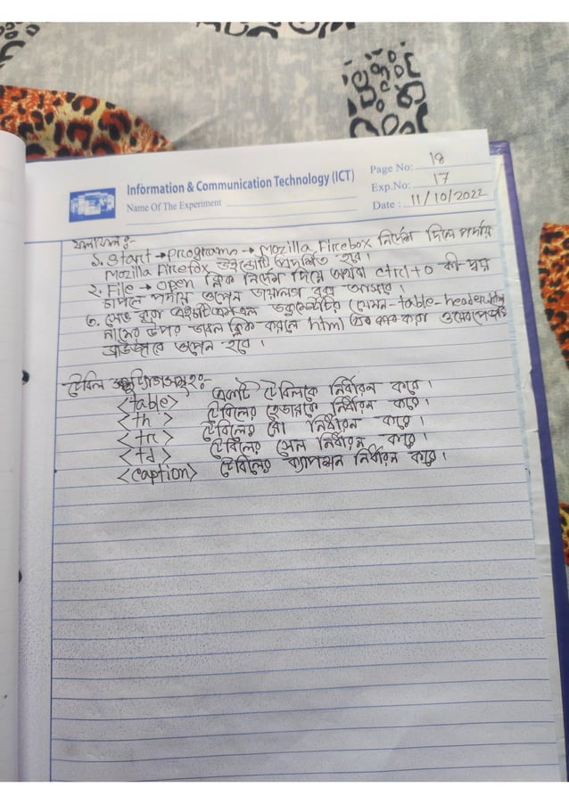 hsc ict practical 2024.pdf