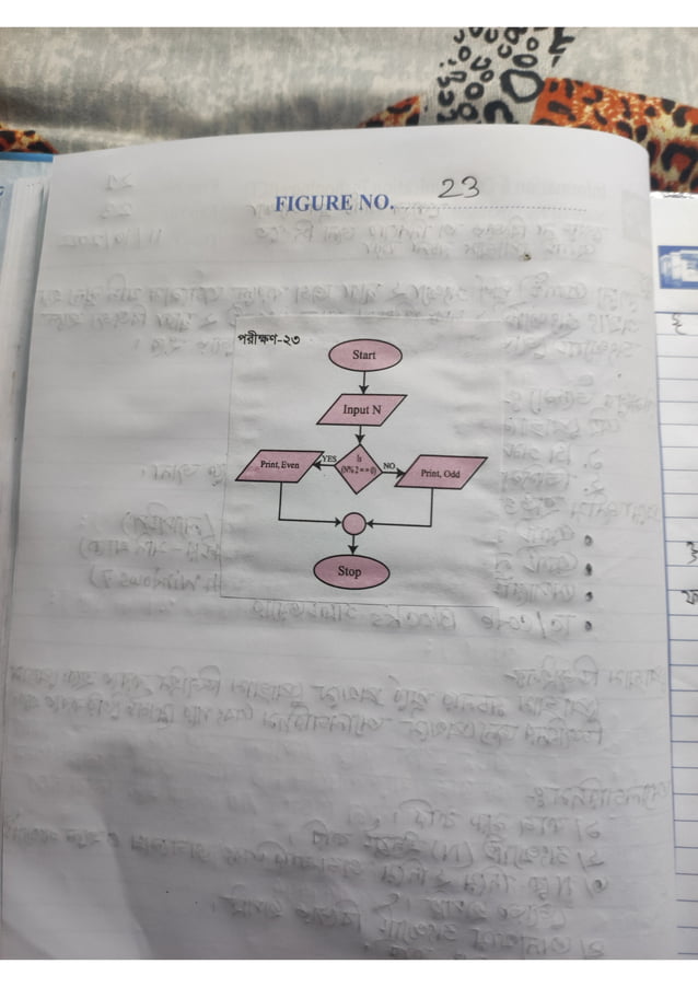 hsc ict practical 2024.pdf