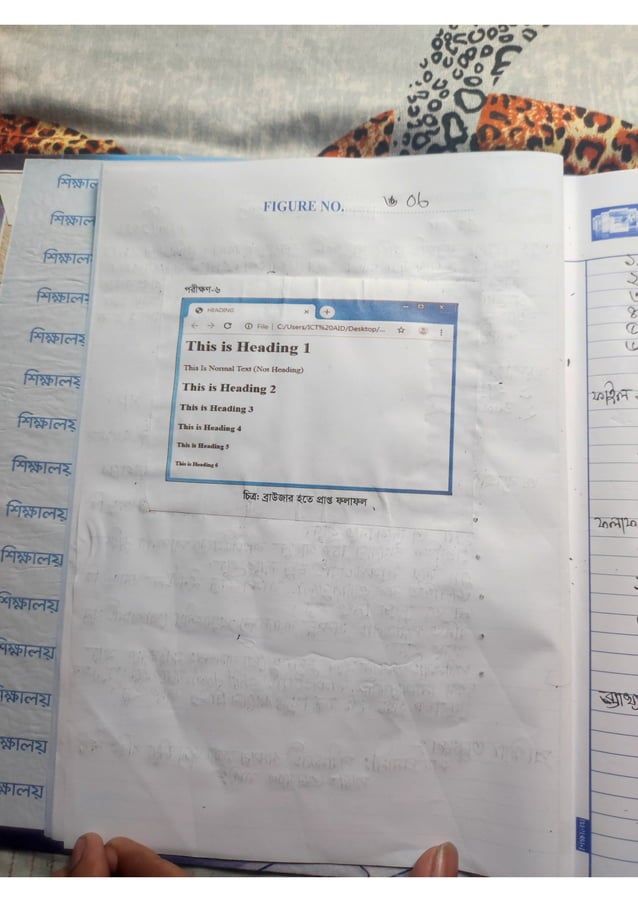 hsc ict practical 2024.pdf