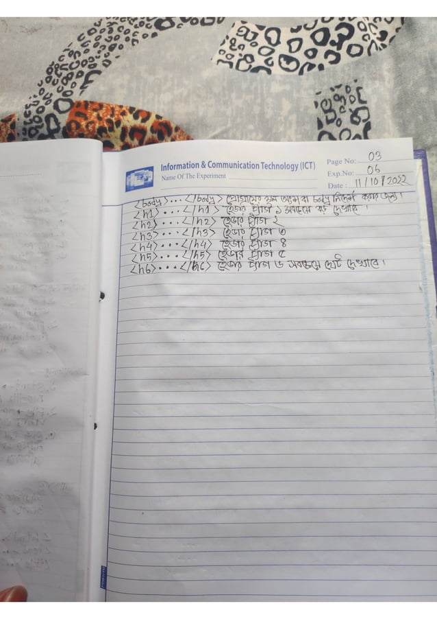 hsc ict practical 2024.pdf