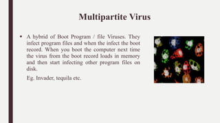 Securing The Computer From Viruses ... | PPT