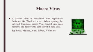 Securing The Computer From Viruses ... | PPT