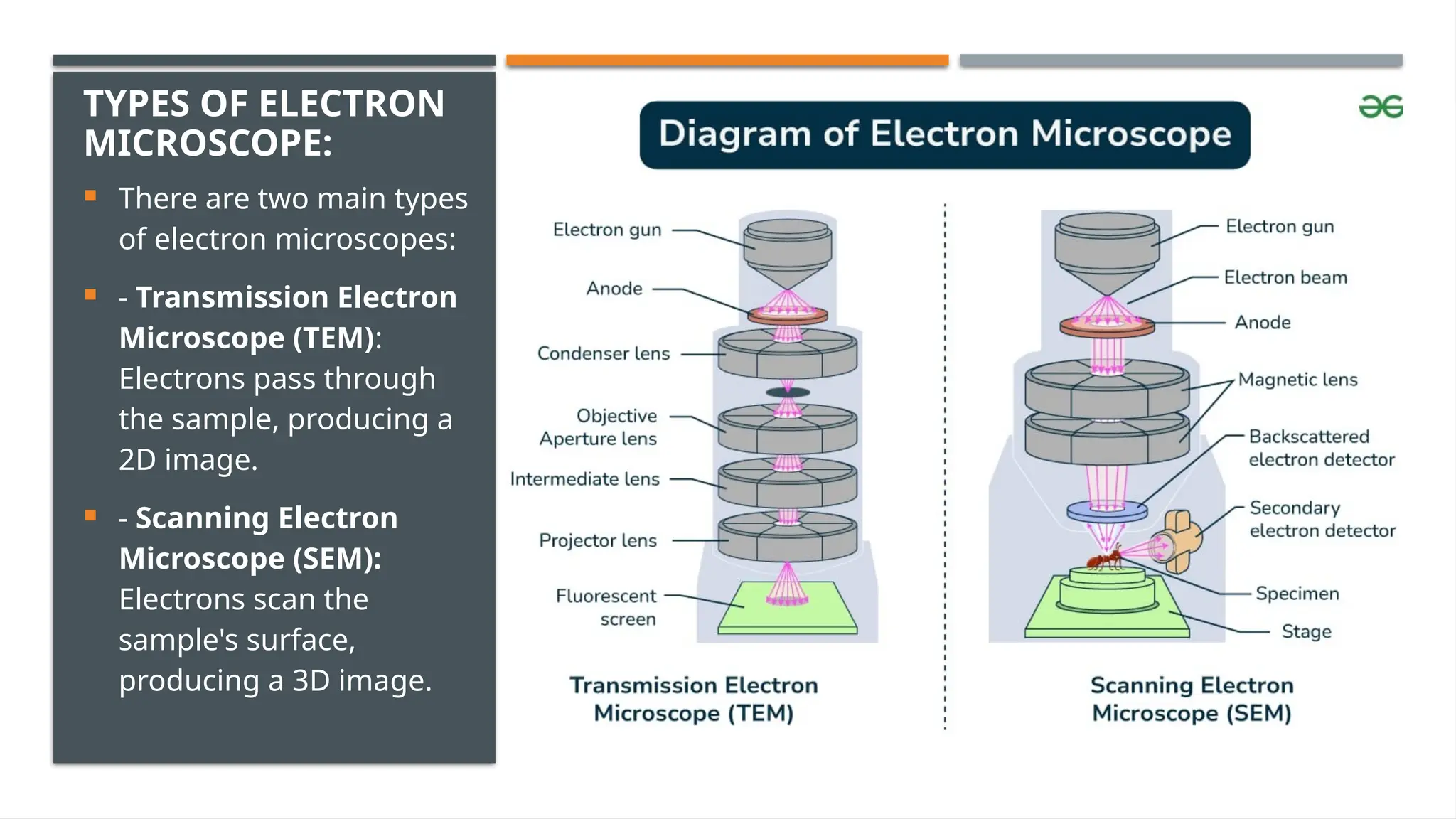 ICT PRESENTATION.pptx about microbiology | PPT