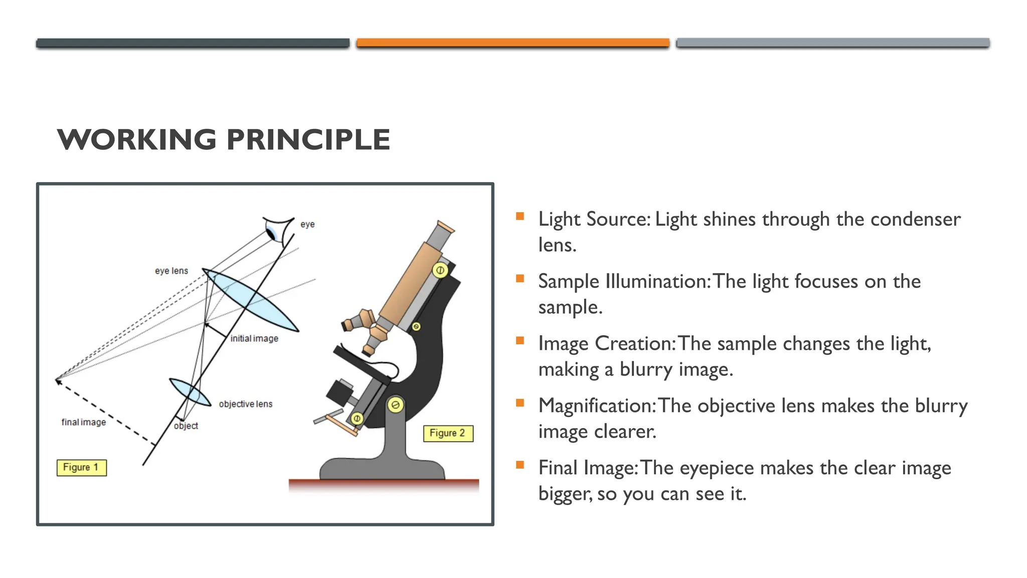 ICT PRESENTATION.pptx about microbiology | PPT