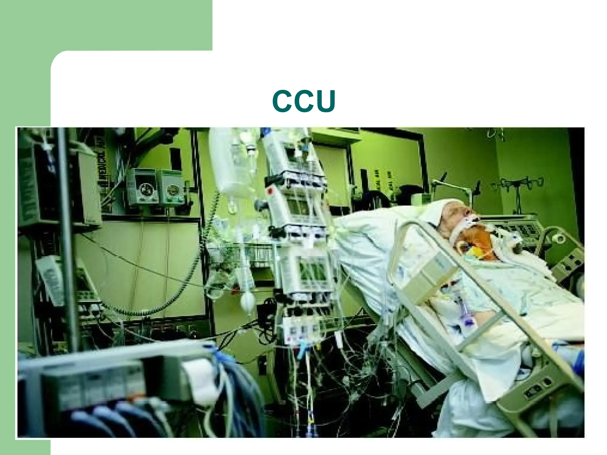 icu-ccu-introduction.PPT nepal ndsddddddd | PPT