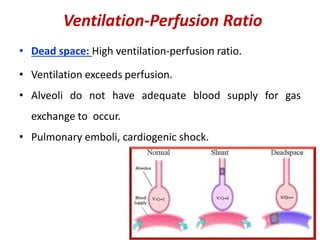 Some important clinical points in ICU | PPT