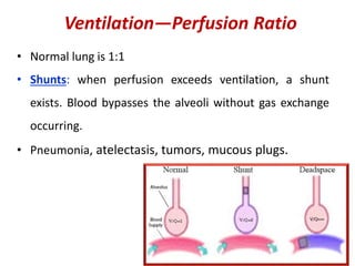 Some important clinical points in ICU | PPT