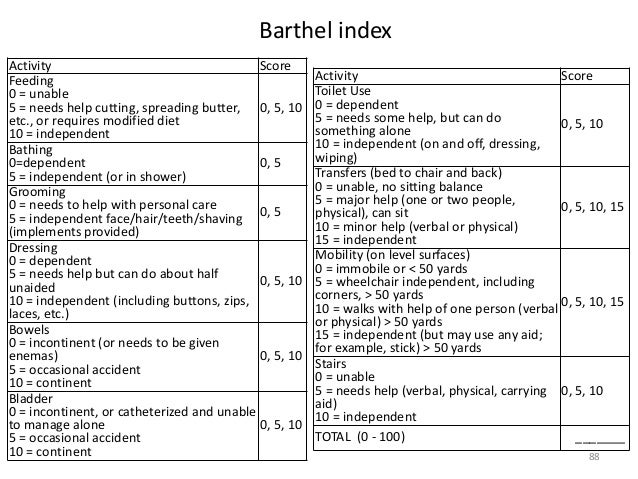Modified Barthel Index