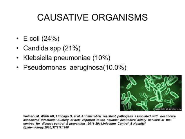 Icu care bundles.pptx | First Aid | Injuries