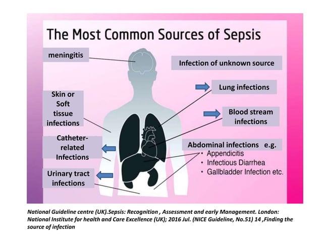 Icu care bundles.pptx | First Aid | Injuries