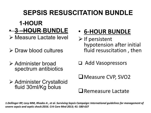 Icu care bundles.pptx | First Aid | Injuries