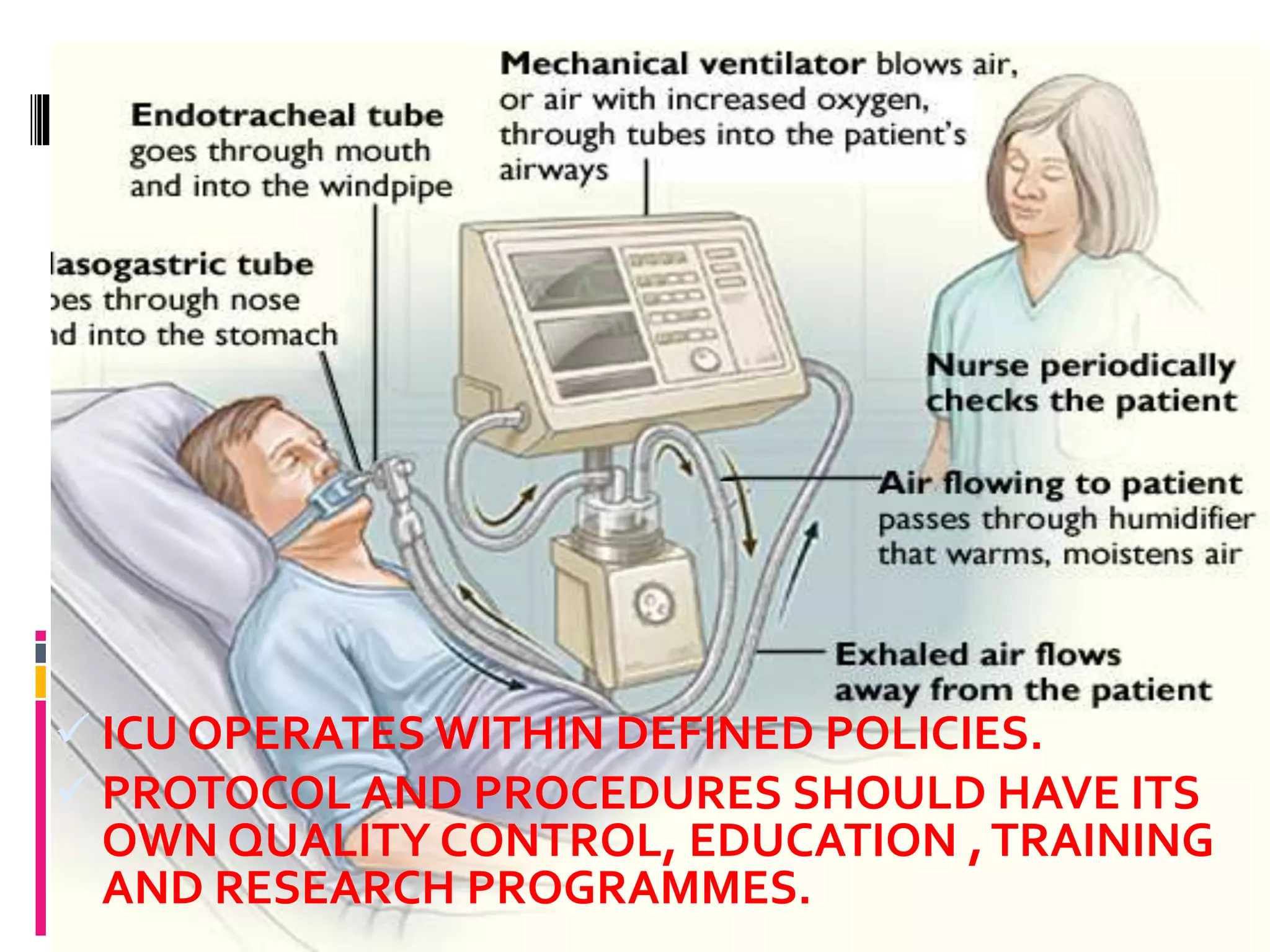 planing and organization of Intensive Cares | PPTX