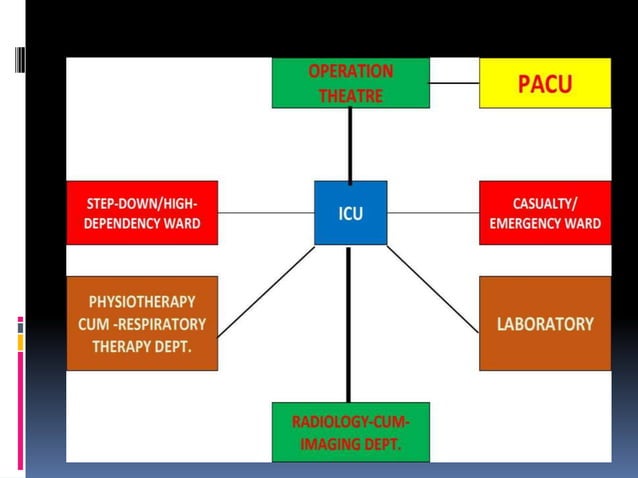 planing and organization of Intensive Cares | PPTX