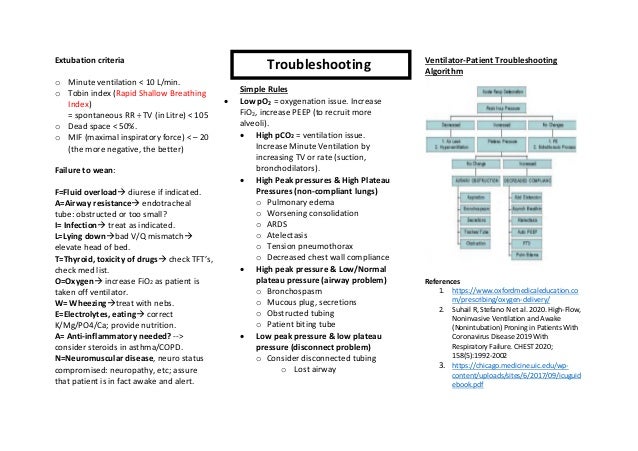 ICU for The Novice.pdf