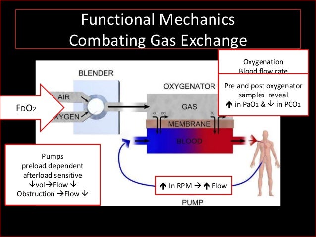 ICU management of ECMO pt