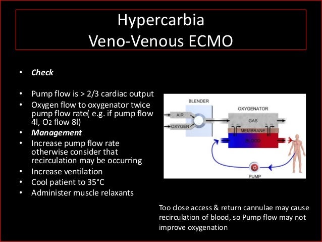 ICU management of ECMO pt