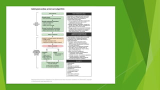 ICU management of the intubated post arrest adult patient.pptx