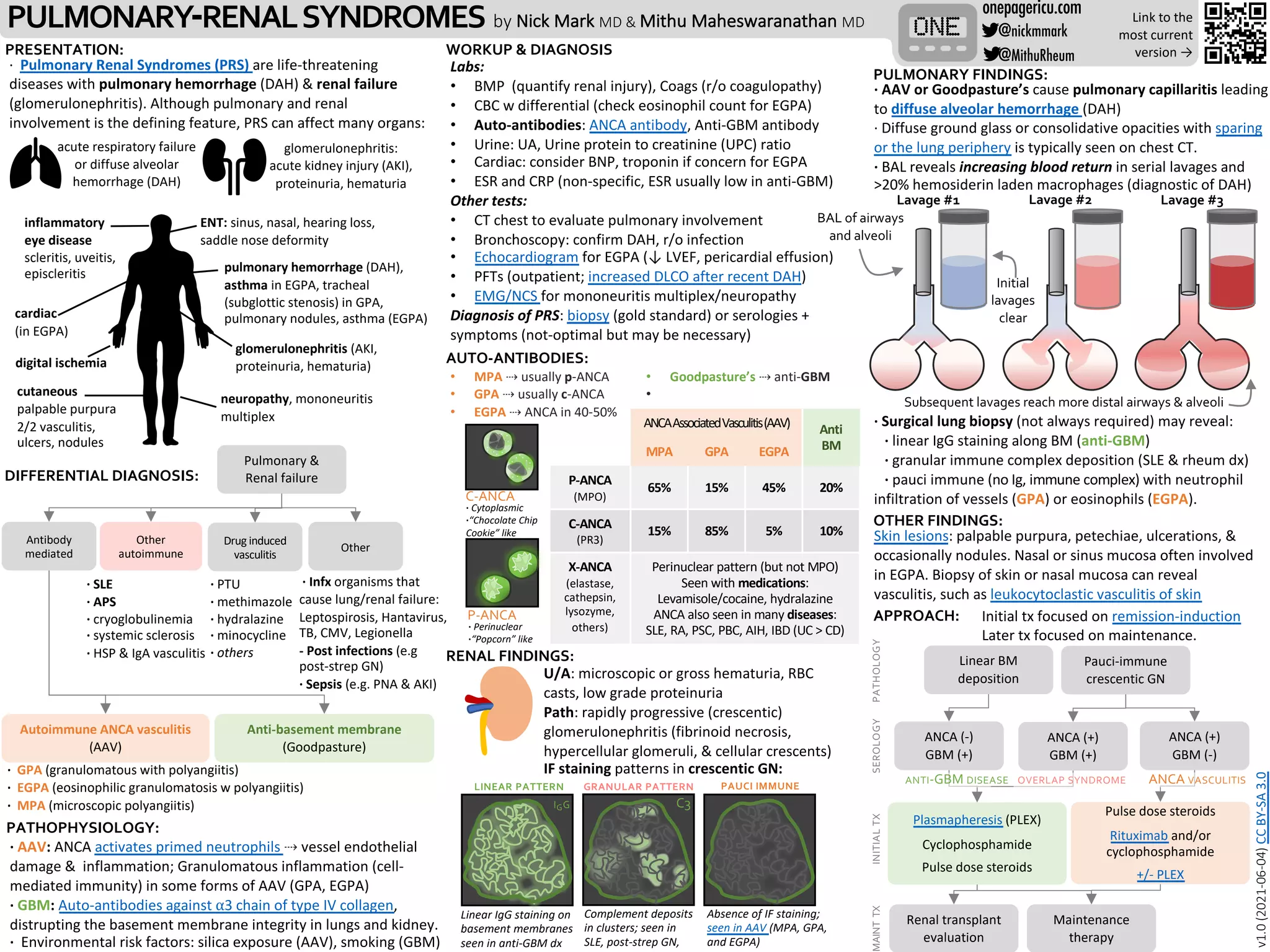 Pulmonar Renal Syndrome | PDF