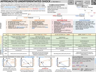 Shock Indiferenciado clasificacion-.pptx