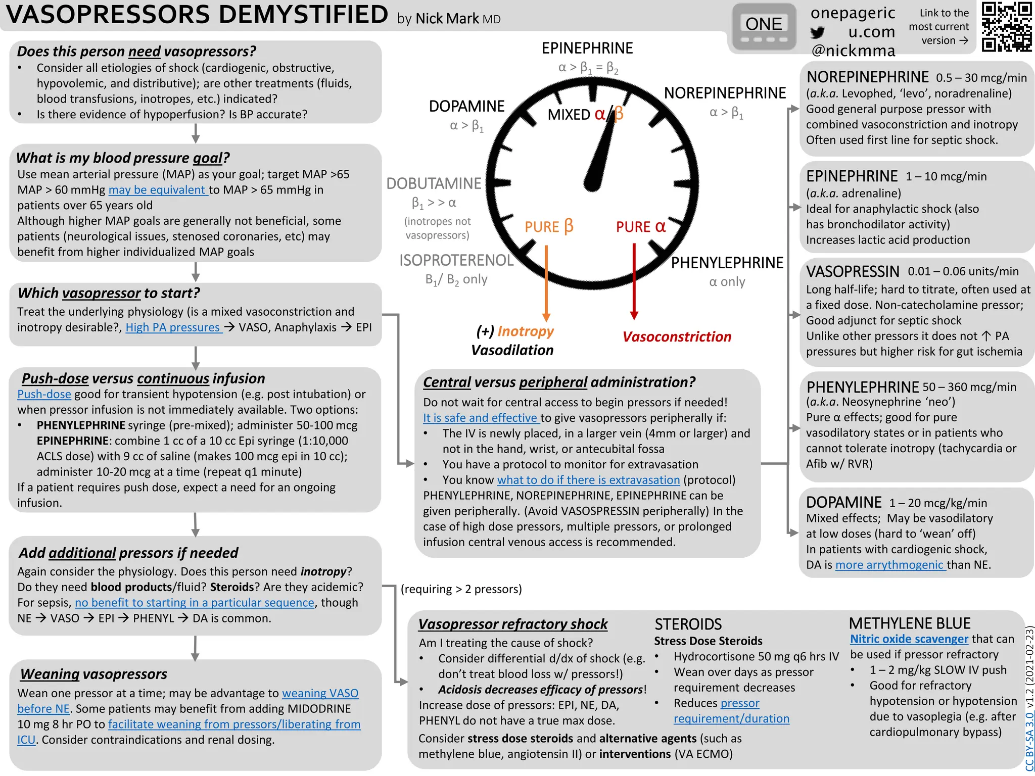 ICU_vasopressors. infographic presenatation by one page | PPTX | First ...