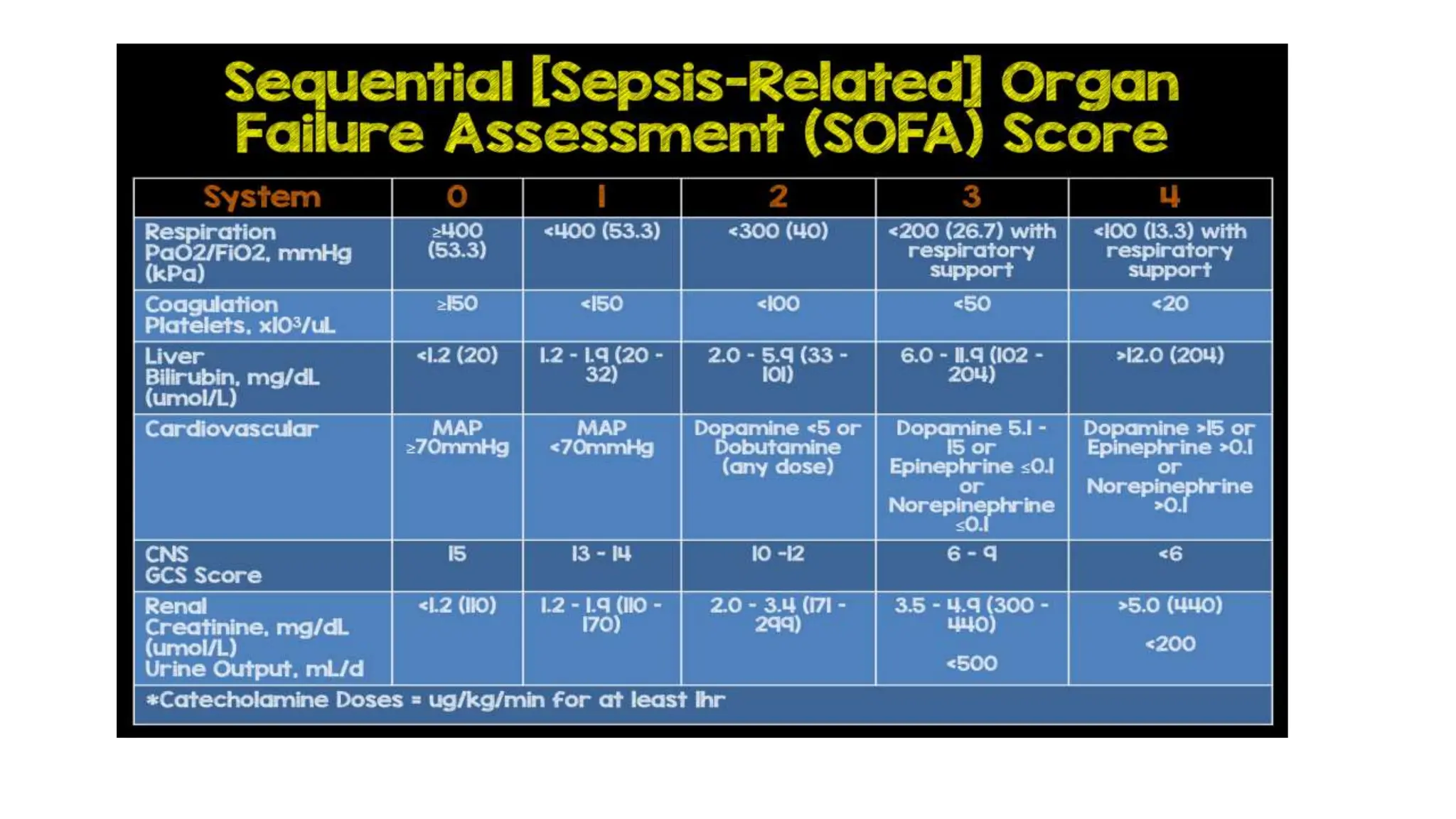 ICU SCORING SYSTEM (1).pptx