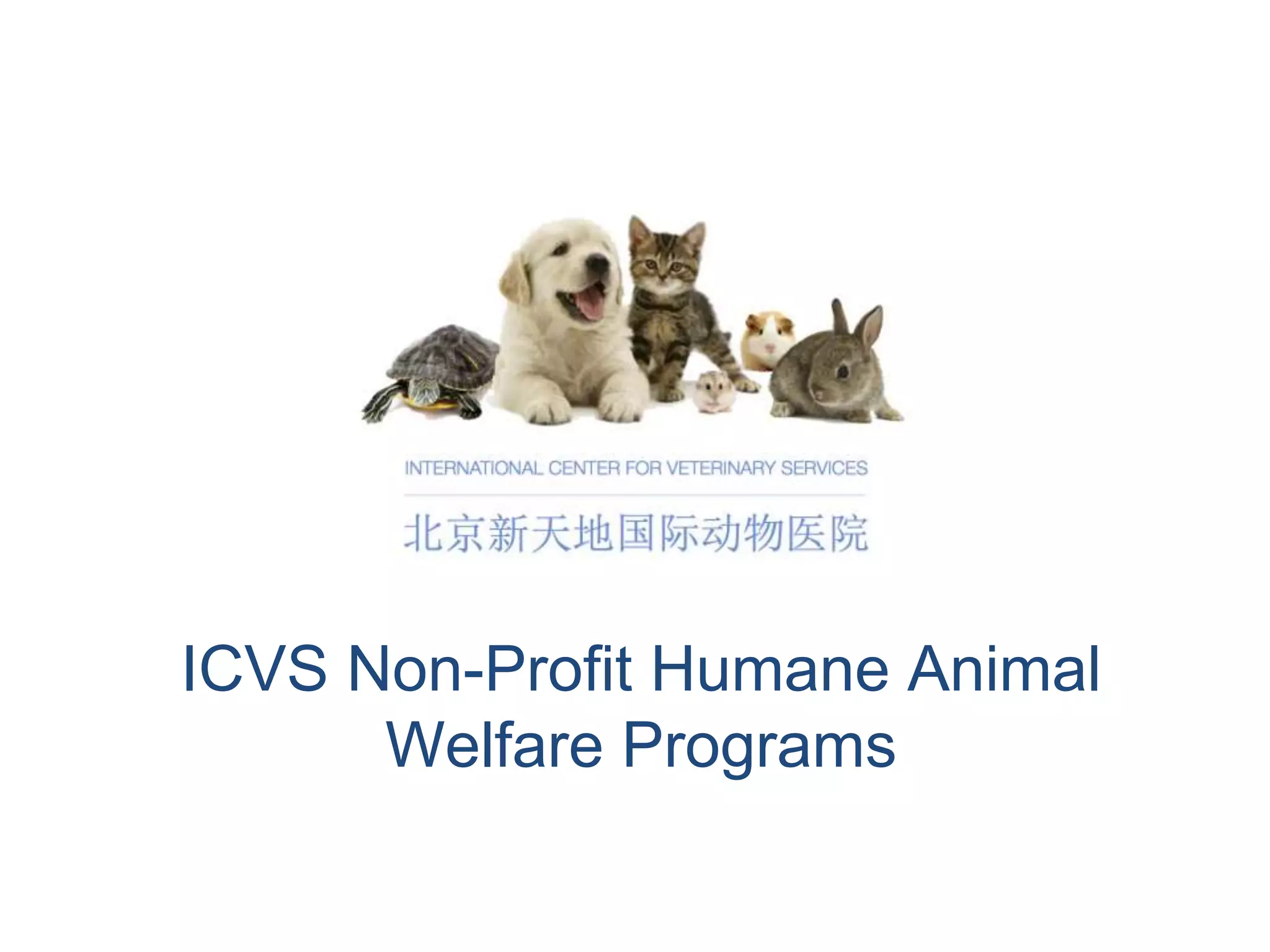 Icvs non profit humane animal welfare programs 2020 | PPT