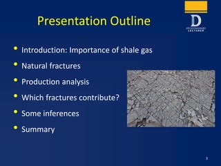 The Role of Natural Fractures in Shale Gas Production: What does ...