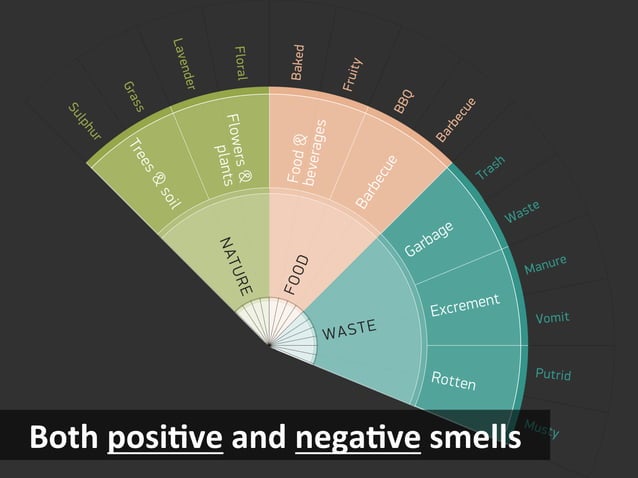Smelly Maps: The Digital Life of Urban Smellscapes | PDF