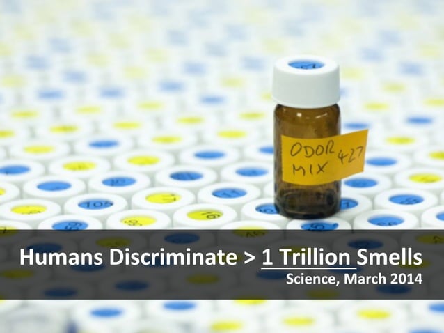 Smelly Maps: The Digital Life of Urban Smellscapes | PDF