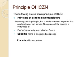 ICZN(InternationalCodeforZoologicalNomenclature).pptx