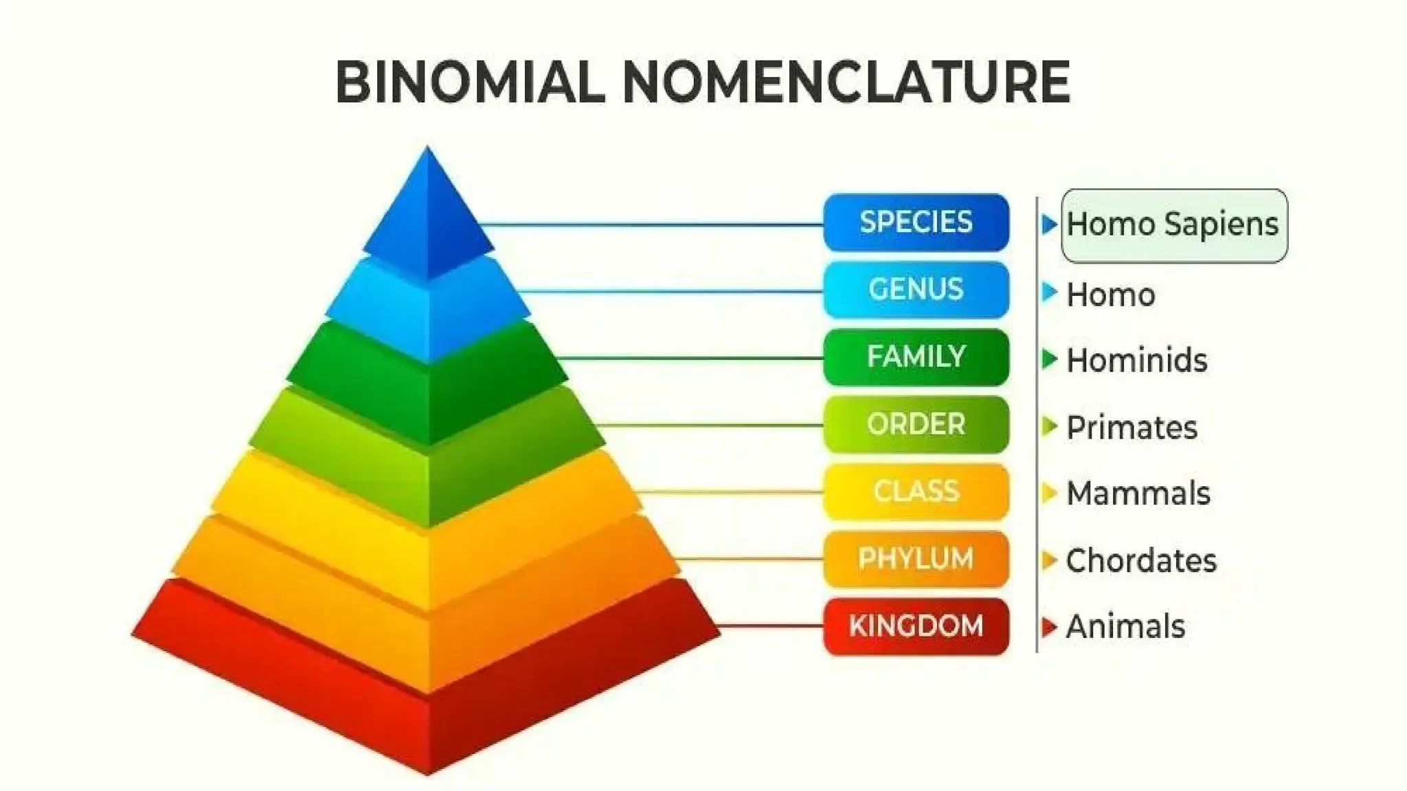 iczn(International Code of Zoological Nomenclature) | PPTX