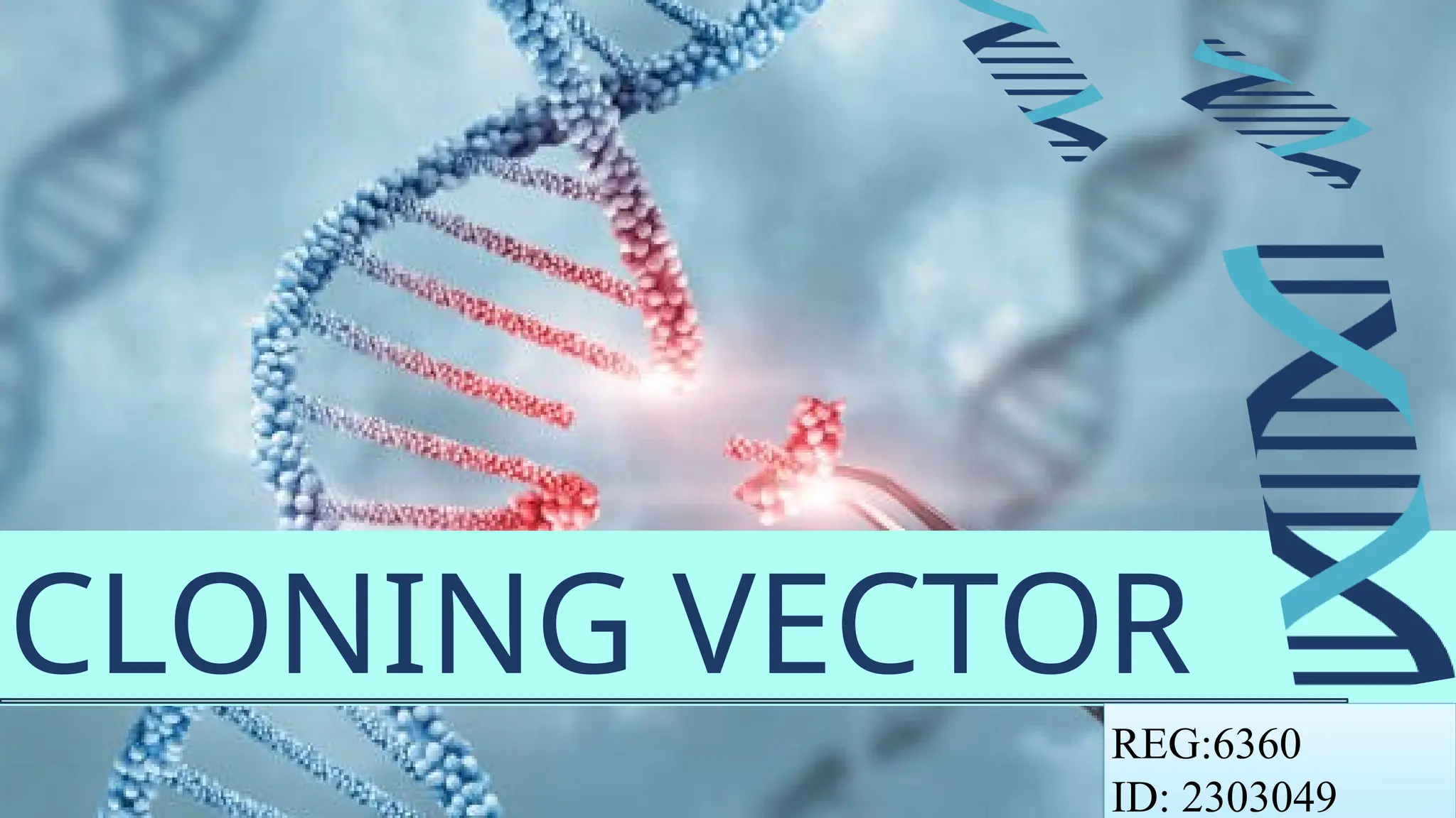 Importance of Cloning vector in Gene Cloning | PPTX
