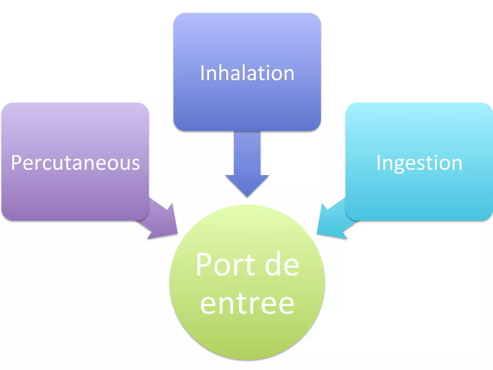 Melioidosis, Whitmore's disease | PDF