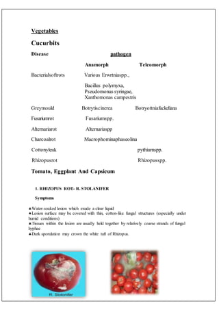 Important Post Harvest Diseases of vegetables and management (Alan .v ...