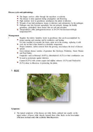 plpt 516 diseases of vegetables, ornamentals & spice crops major ...