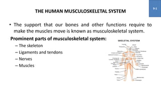 Musculoskeletal Risk and Control Training | PPTX
