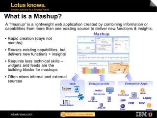 Mashing up the Lotus Portfolio | PDF