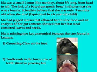 Fossil Ida, Missing Link? | PPT
