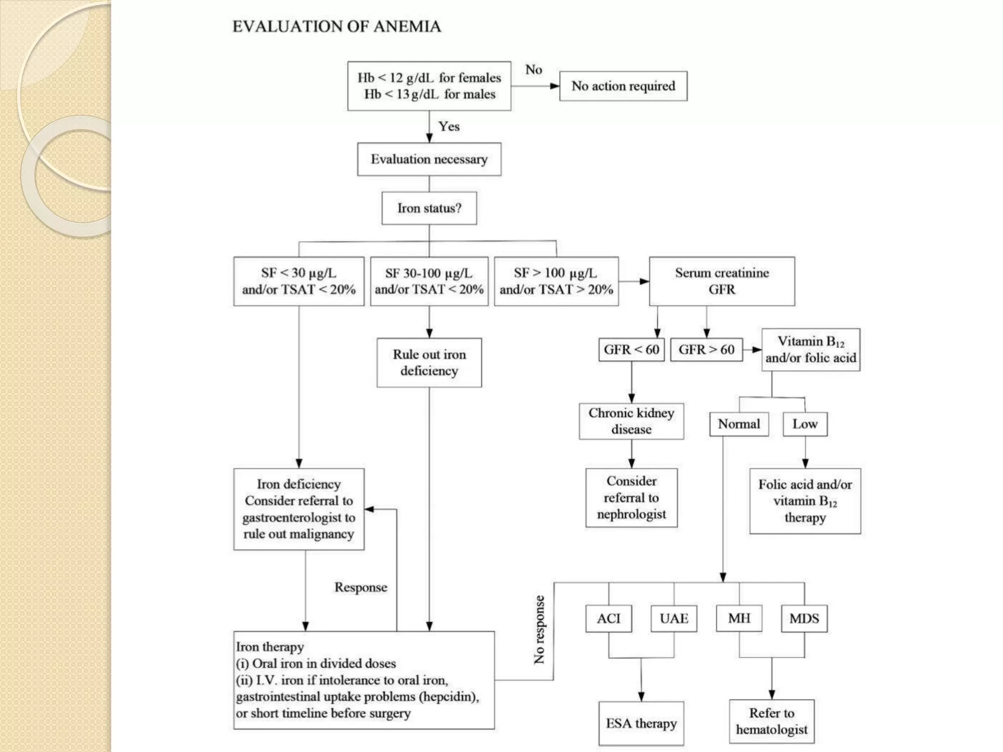 IRON DEFICIENCY ANEMIA | PPT