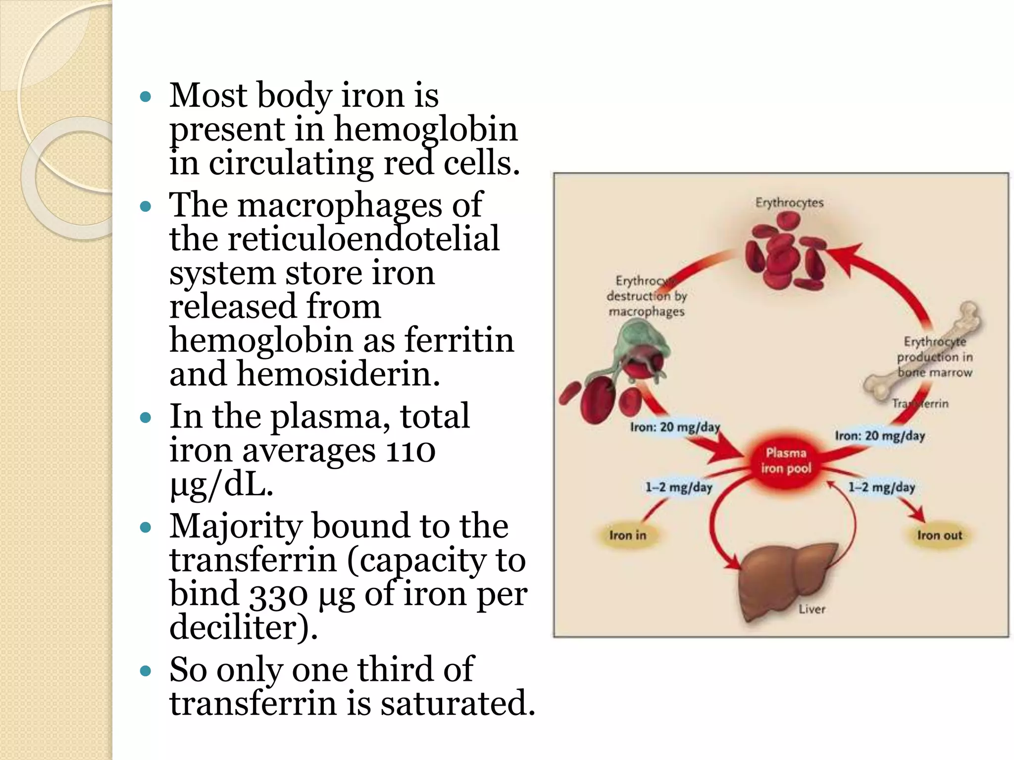 IRON DEFICIENCY ANEMIA | PPTX