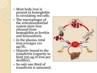 IRON DEFICIENCY ANEMIA | PPT