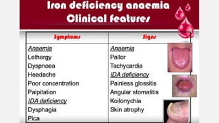 Iron Deficiency anemia powerpoint presentation | PPTX