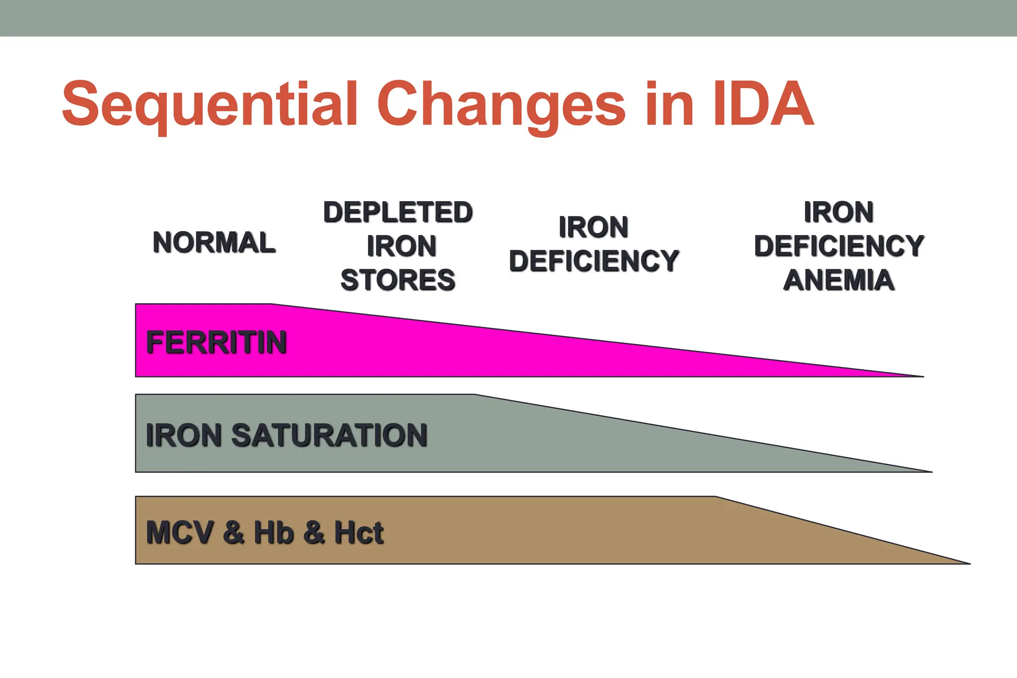 Iron deficiency anemia management, risk factors, physiology of iron ...