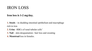 Iron Deficiency Anemia and its management | PPTX