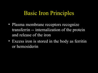 presentation on the Iron deficiency.ppt