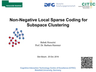 Non-Negative Local Sparse Coding for Subspace Clustering | PPTX