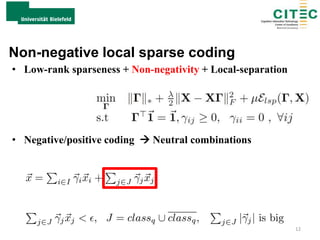Non-Negative Local Sparse Coding for Subspace Clustering | PPTX