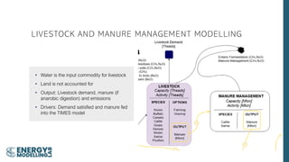Development of an AFOLU module for TIMES | PDF