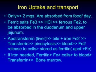 Iron Deficiency Anemia during pregnancy | PPTX